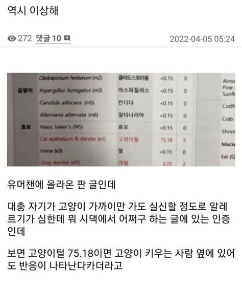 알레르기 검사 했는데 뭔가 이상하다 유머움짤이슈 에펨코리아