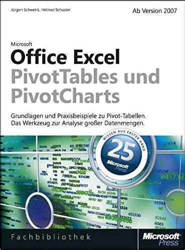 microsoft office excel pivottables und pivotcharts analyse großer