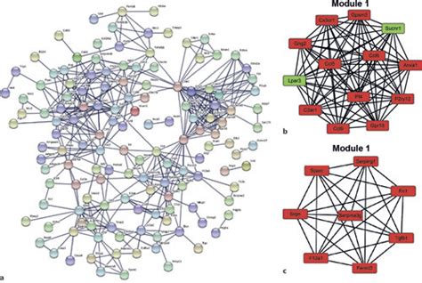 Ppi Network Construction And Modules Identification A Ppi Network