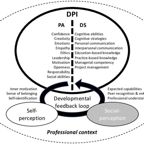 An Overview Of The Proposed Dpi Framework Distilled From Literature