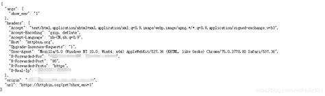 Httpbin Org Csdn