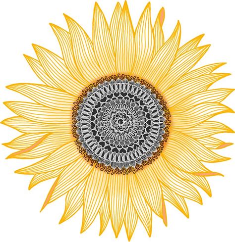 Top Imagen Girasol Dibujo Mandala Abzlocal Mx