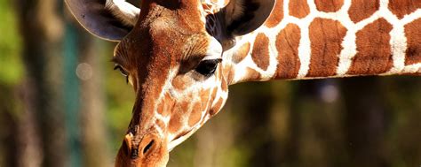 Сенкевич And Дроздов Сенкевич And Дроздов нежное соообщество о животных и мире 2024 ВКонтакте