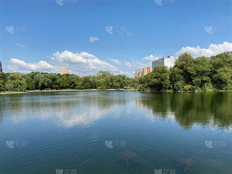 夏天在城市公园干燥晴朗的日子