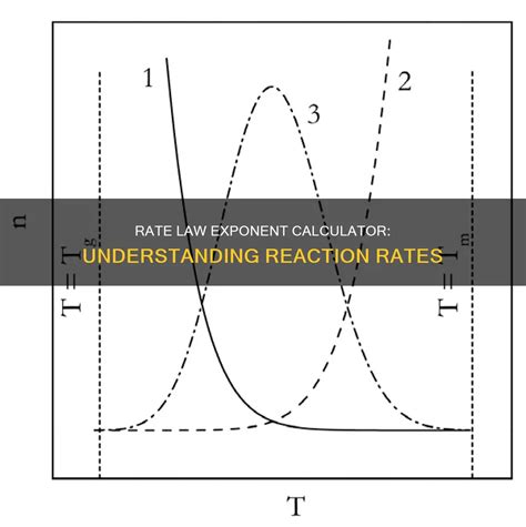 Rate Law Exponent Calculator Understanding Reaction Rates Lawshun