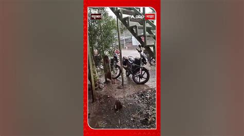 Nandurbar Rain नंदुरबार जिल्ह्यातील काकळदा परिसरात तुफान पाऊस