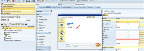Displaying MIME Image SAPCODES