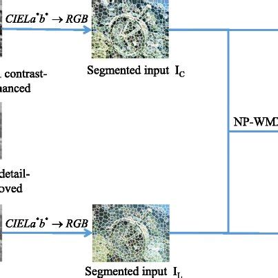 Overview Of The Proposed Method AUWB Adaptive Underwater Image White
