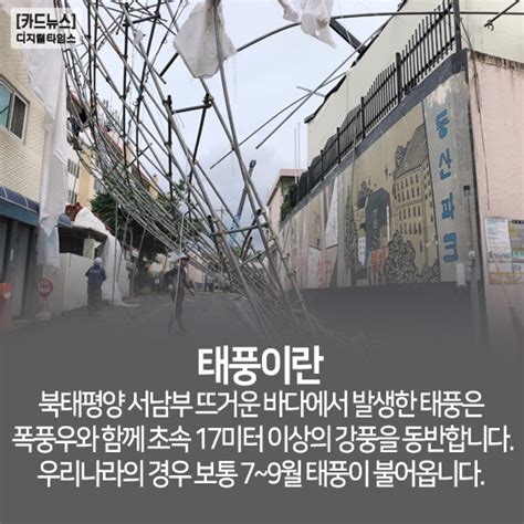 [카드뉴스]불청객 태풍 디지털타임스