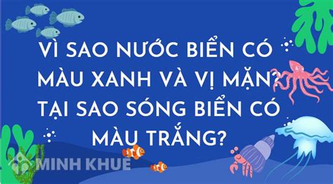 Tìm hiểu về tại sao nước biển lại có vị mặn và tác động của nó đến cuộc