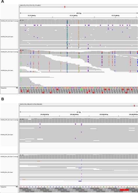 Two True Variants In Difficult Regions That Were Called Using Download Scientific Diagram