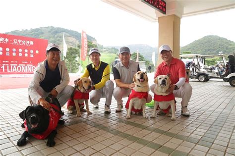 中国导盲犬大连培训基地