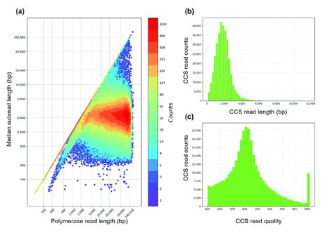 Fig S2 Diagnostic Plots Of Pacbio Polymerase And Ccs Reads Reflecting Download Scientific