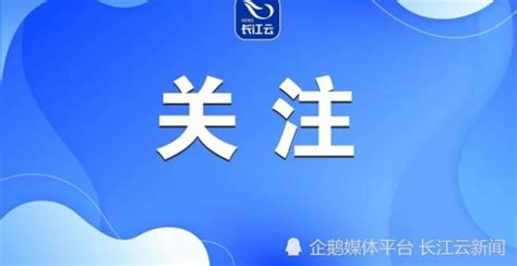 俄一客机田野迫降 初步调查显示为液压系统故障所致腾讯新闻