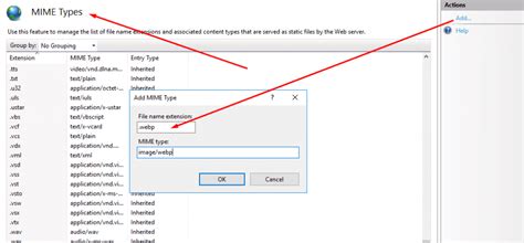How To Show Webp Files On IIS Tralum