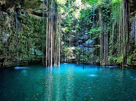 Descubriendo Diferentes Tipos De Cenotes En La Pen Nsula De Yucat N