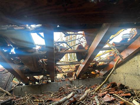 La Tempête Louis Provoque La Chute Dun Arbre Sur Une école à Aulnay