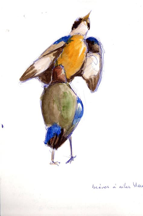 Sexy Birds By Crazyrockgirl On Deviantart