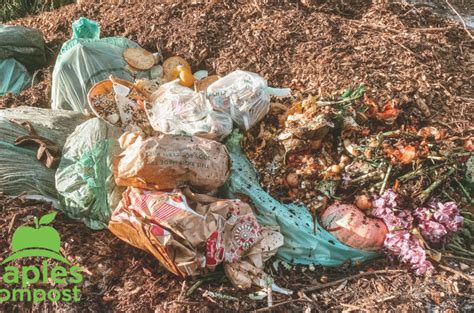 Why Is Composting Important Archives Naples Compost