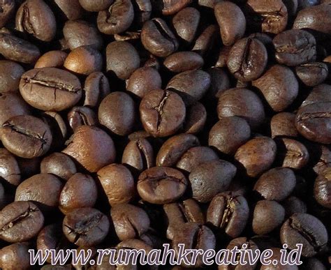 Sejarah Dan Asal Usul Biji Kopi Rekreartive