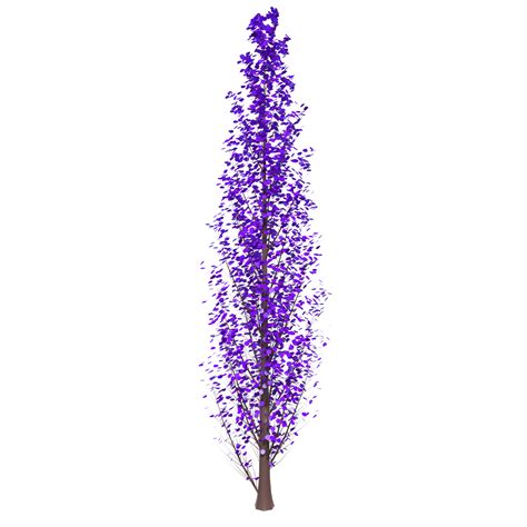 Tree Isolated On Transparent PNG