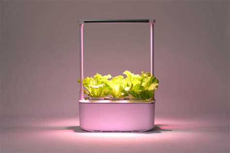 2022 Innovative Indoor Garden Uerrand Ics Sourcing And On Demand Manufacturing In China