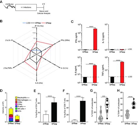 Sequential Infection Leads To Increased Inflammation And Alters Download Scientific Diagram