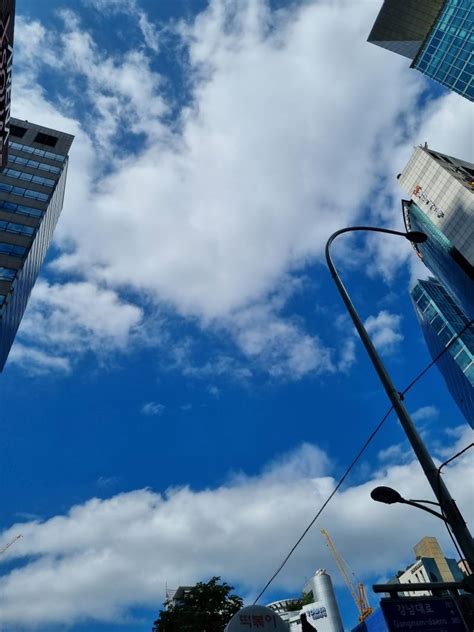 날씨대박 인스티즈 Instiz 일상 카테고리