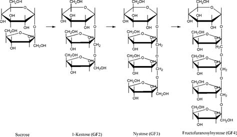 Oligosaccharides Gas