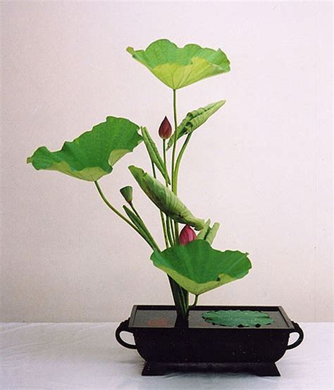 Ikebana Japanese Flower