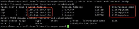 23 A Deep Dive Into Openstack Networking With Cisco Aci Opflex Integration Neutron Dhcp