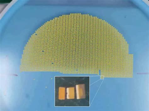 Csp Led Strip Vs Cob Led Strip Shenzhen Greenland Optoelectronic