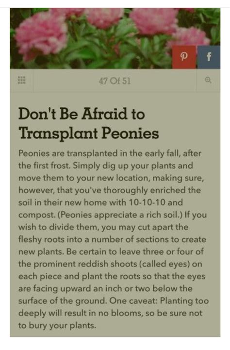 Best 13 How To Propagate Peonies 3 Easy Methods Artofit