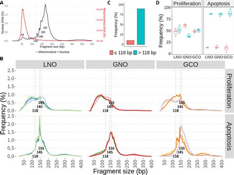 Multidimensional Fragmentomic Profiling Of Cell Free Dna Released From
