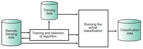 The Classification Process — Vetfarm