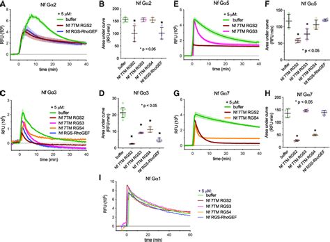 An Rgs Rhogef Effector And 7tm Rgs Proteins Are Selective Gtpase