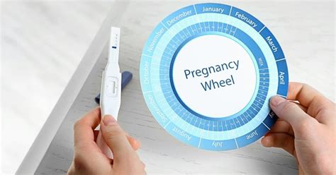 Estimate Your Due Date For Free Rosy Moms