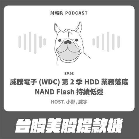 【台股美股提款機】威騰電子 Wdc 第 2 季 Hdd 業務落底 Nand Flash 持續低迷 財報狗 Podcast S2e93