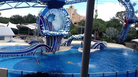 Minha Viagem De 2013disney Youtube