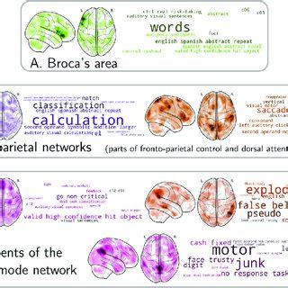 Task Optimized Networks Associated With High Level Functions Some