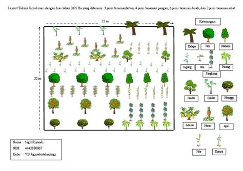 Layout Agroforestri Pdf