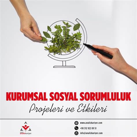 🌿 Sürdürülebilirlik Nedir Analiz Kariyer Akademi