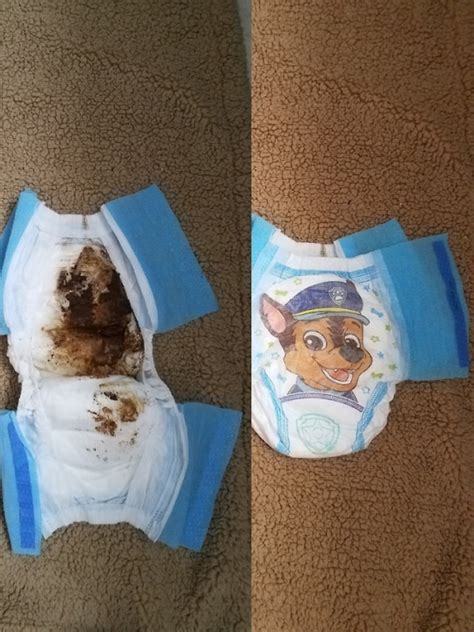 Pawpatrol Pawpatroldiaper On Tumblr