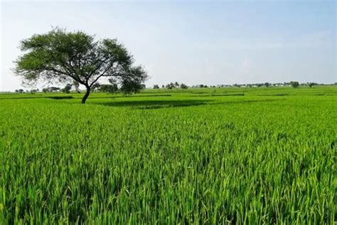 Cómo Saber La Edificabilidad De Una Parcela 2026