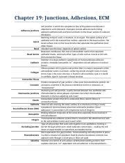 Chapter Cell Junctions Cell Adhesion And The Extracellular Matrix