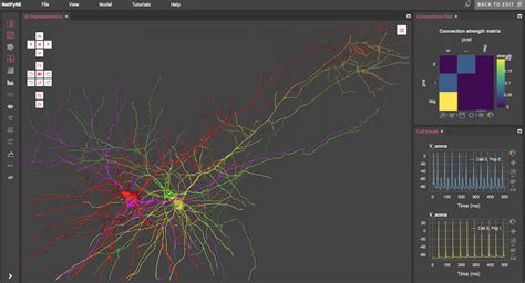 course on multiscale brain circuit modeling using netpyne and neuron