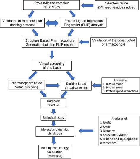 Outline Of The Virtual Screening Workflow For The Identification Of Download Scientific Diagram