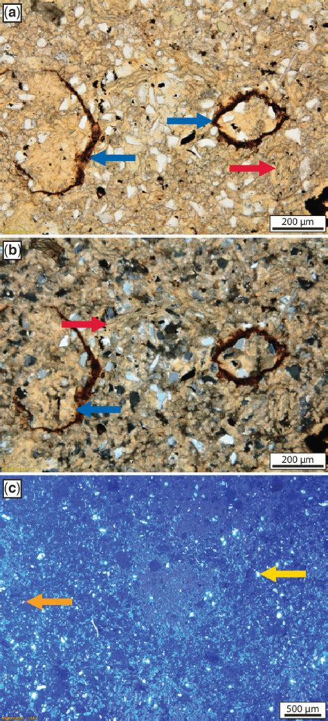 Transmitted Light And Cl Photomicrographs Of Sample Ah14 1 A