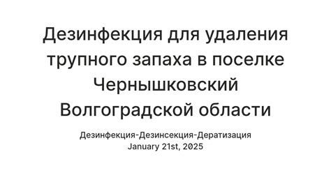 Дезинфекция для удаления трупного запаха в поселке Чернышковский
