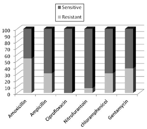 Antibiotic Resistant Pattern Of Enterobacter Spp Download Scientific Diagram
